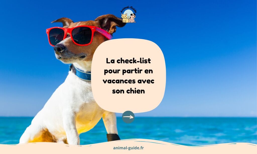 La check-list pour partir en vacances avec son chien - Animal guide